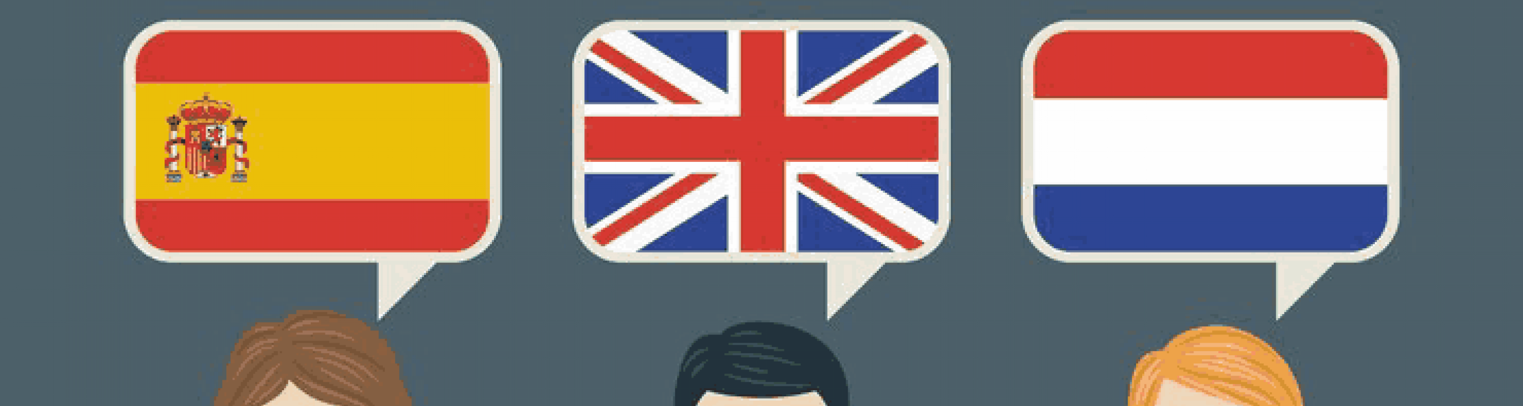 Flags of the World: An Illustrated Guide to International Symbolism ...